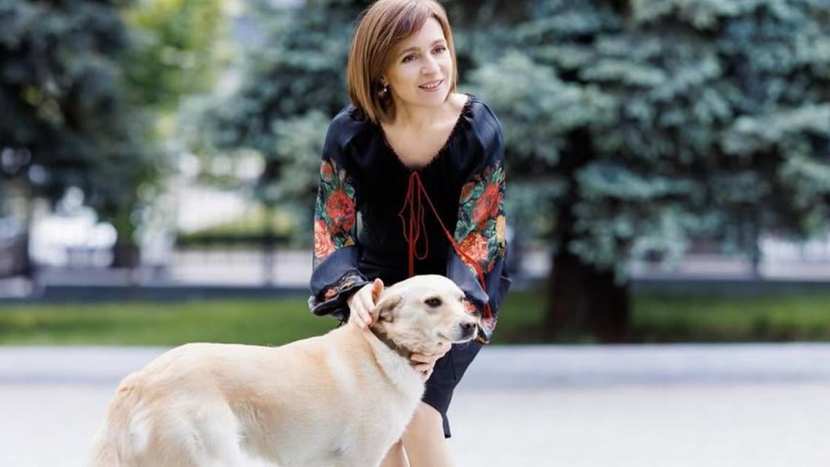 (DOC) Activitate mai scumpă la Președinția R.Moldova, în perioada Maiei Sandu. Bugetul a ajuns ...