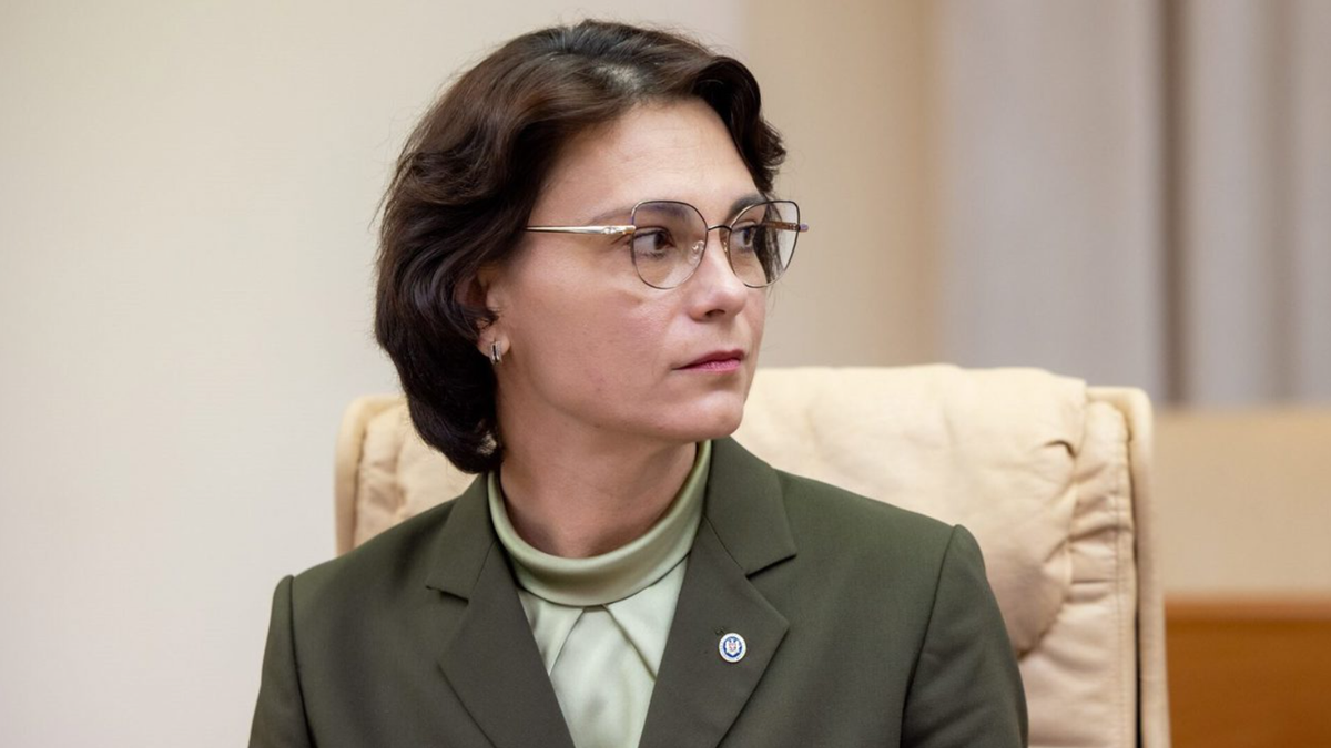 Moldoveanul prins la vamă cu explozibil a fost încătușat. Șefa MAI ...