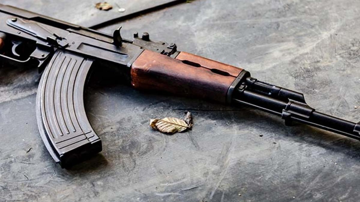 UPDATE // (SURSE) Membru al „batalionului Bugeac”, împușcat cu o ...